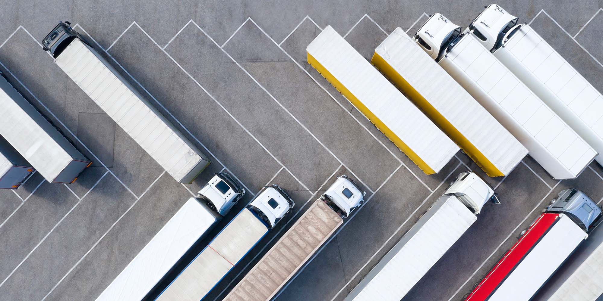 First Light Program Managers