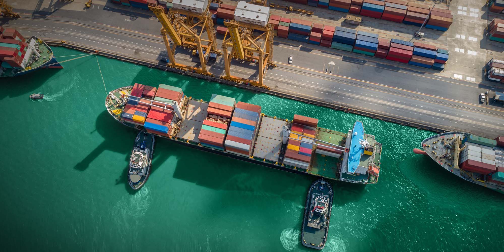 First Light Program Managers